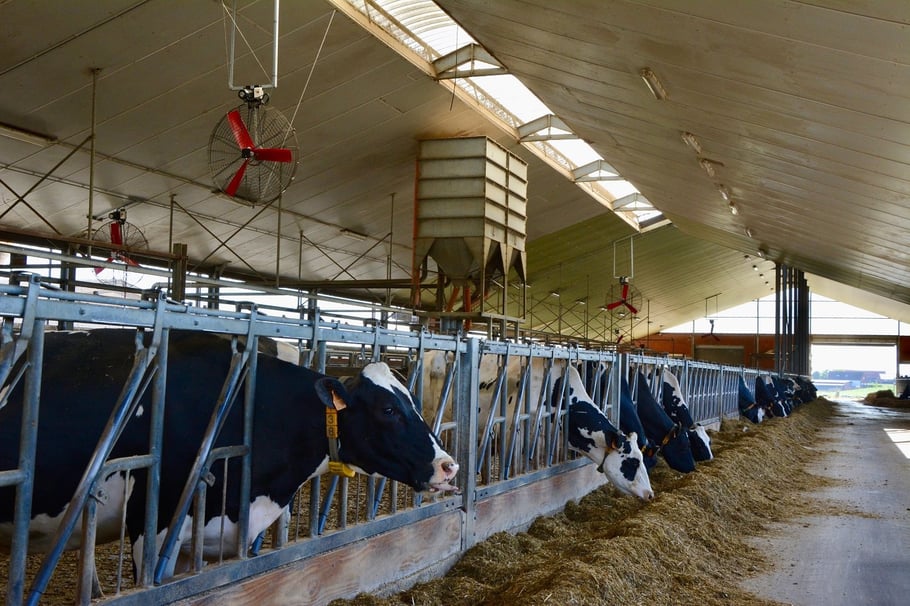 Dairy barn ventilation