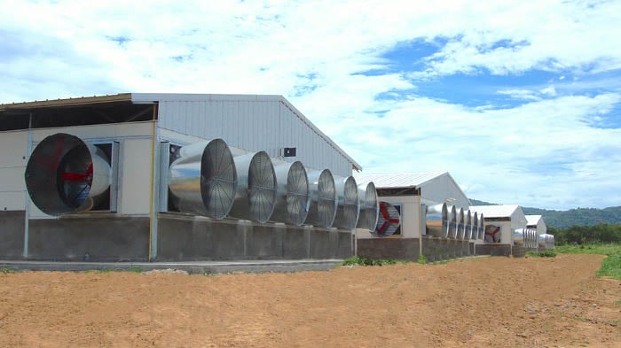 Relevance and factors of comfortable climate in poultry houses