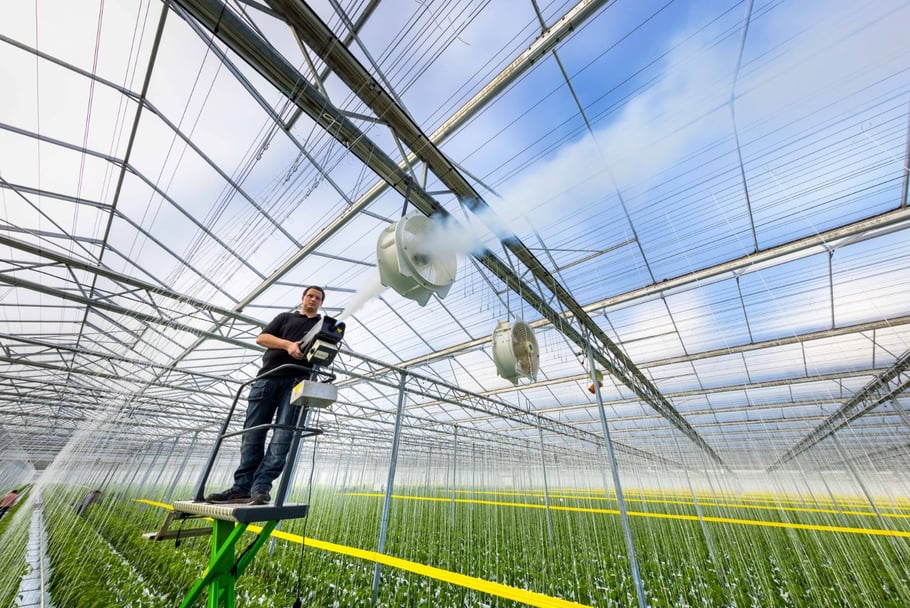 Efficient Greenhouse Ventilation Systems for Better Yield
